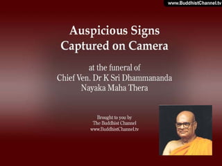 Auspicious Signs? | PPS