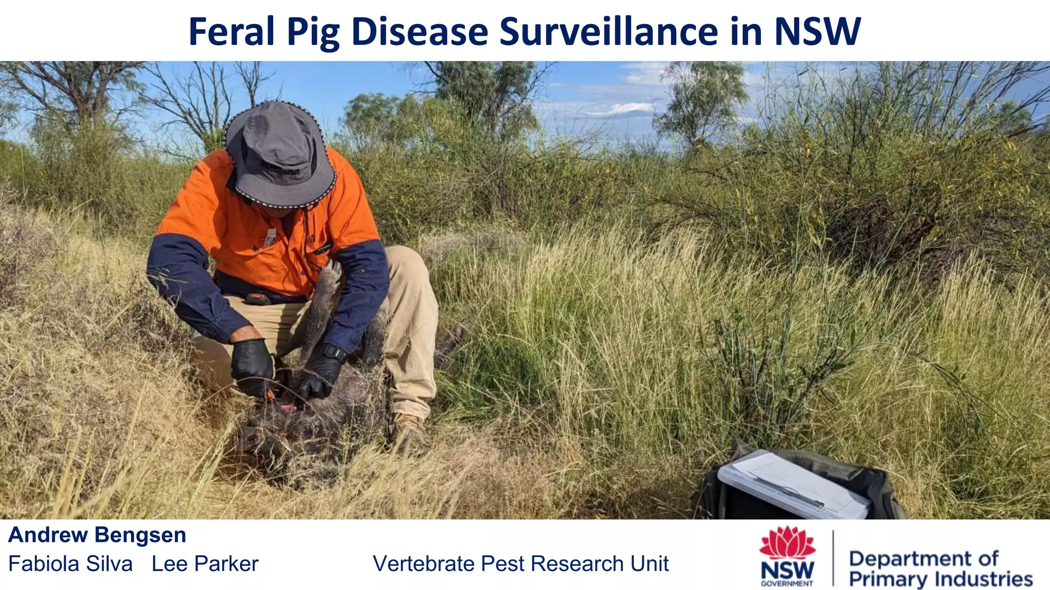 AUST Feral Pig Conference 2023 BENGSEN Disease surveillance in NSW final.pptx