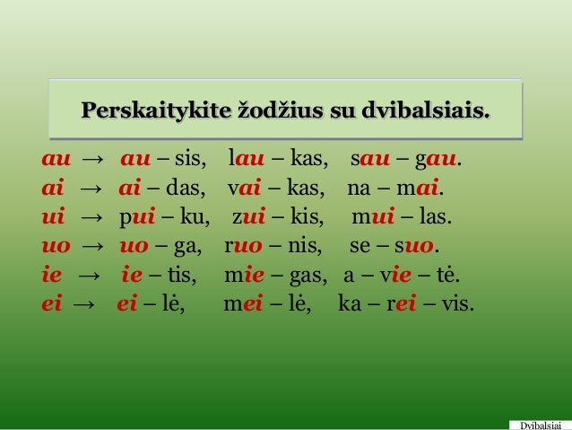 Austienes pranesimas vu_2013