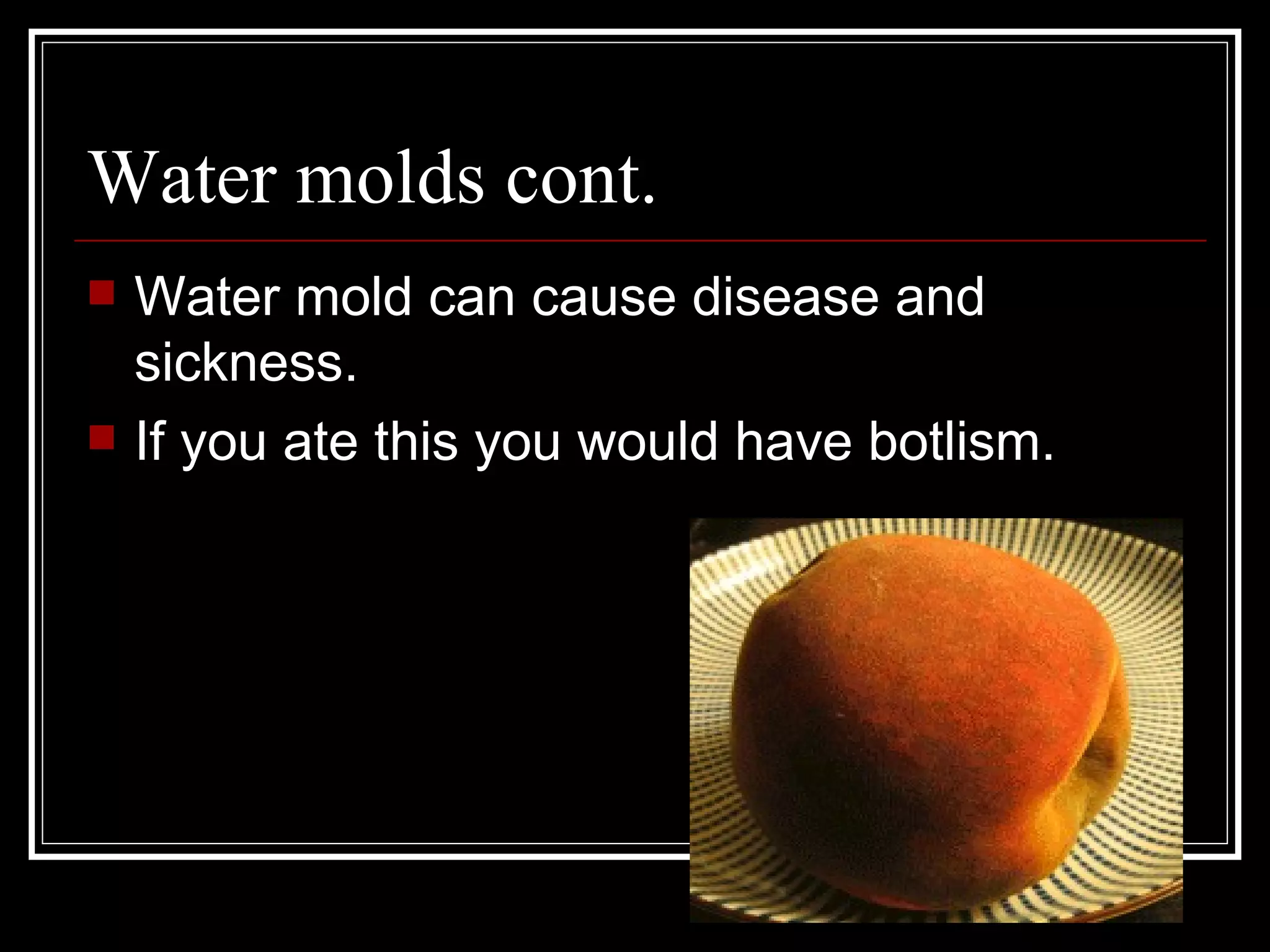 Austin's Water Mold Project | PPT