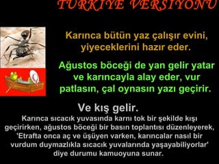 Agustos Böcegi | PPS