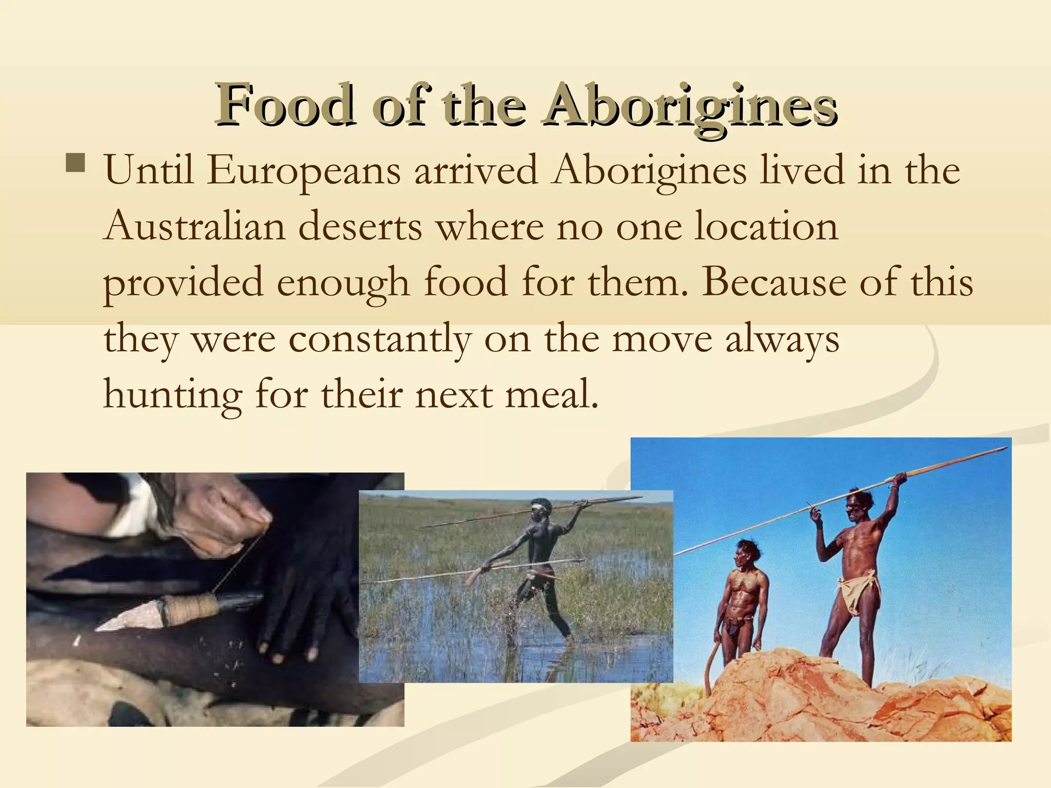 Koalas Learn about Australia pre-colonisation | PPT