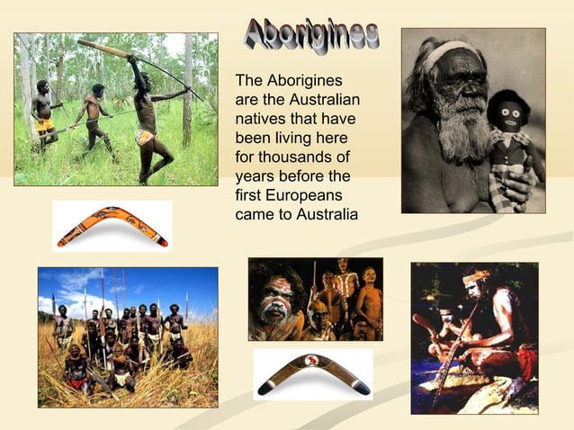 Koalas Learn about Australia pre-colonisation | PPT
