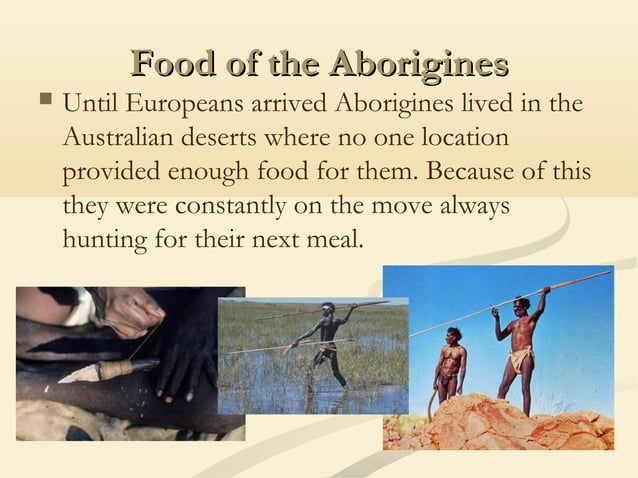 Koalas Learn about Australia pre-colonisation | PPT