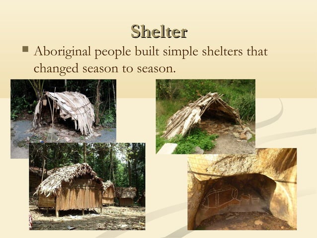 Koalas Learn about Australia pre-colonisation | PPT