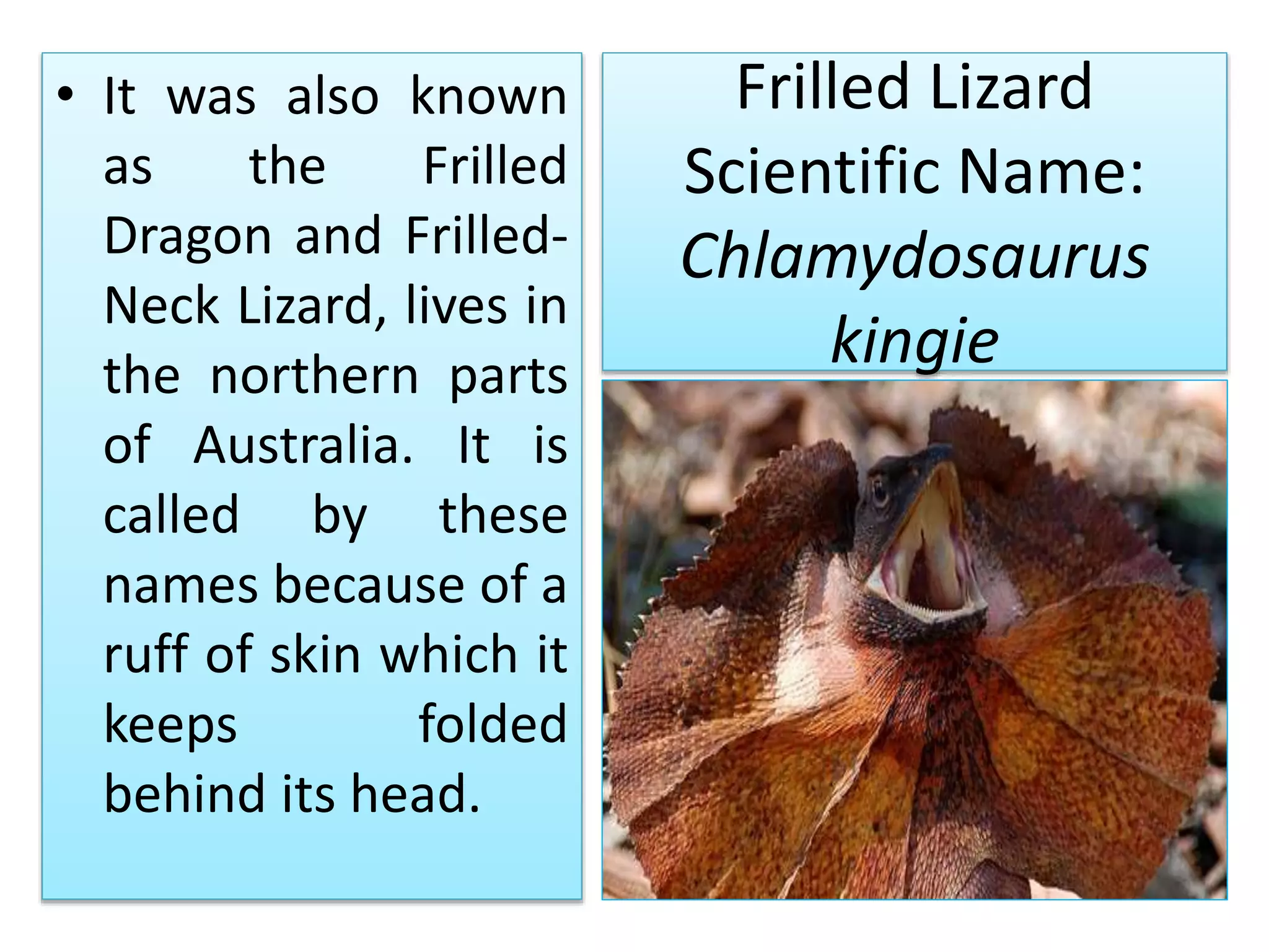 FLORA AND FAUNA IN Australia | PPTX