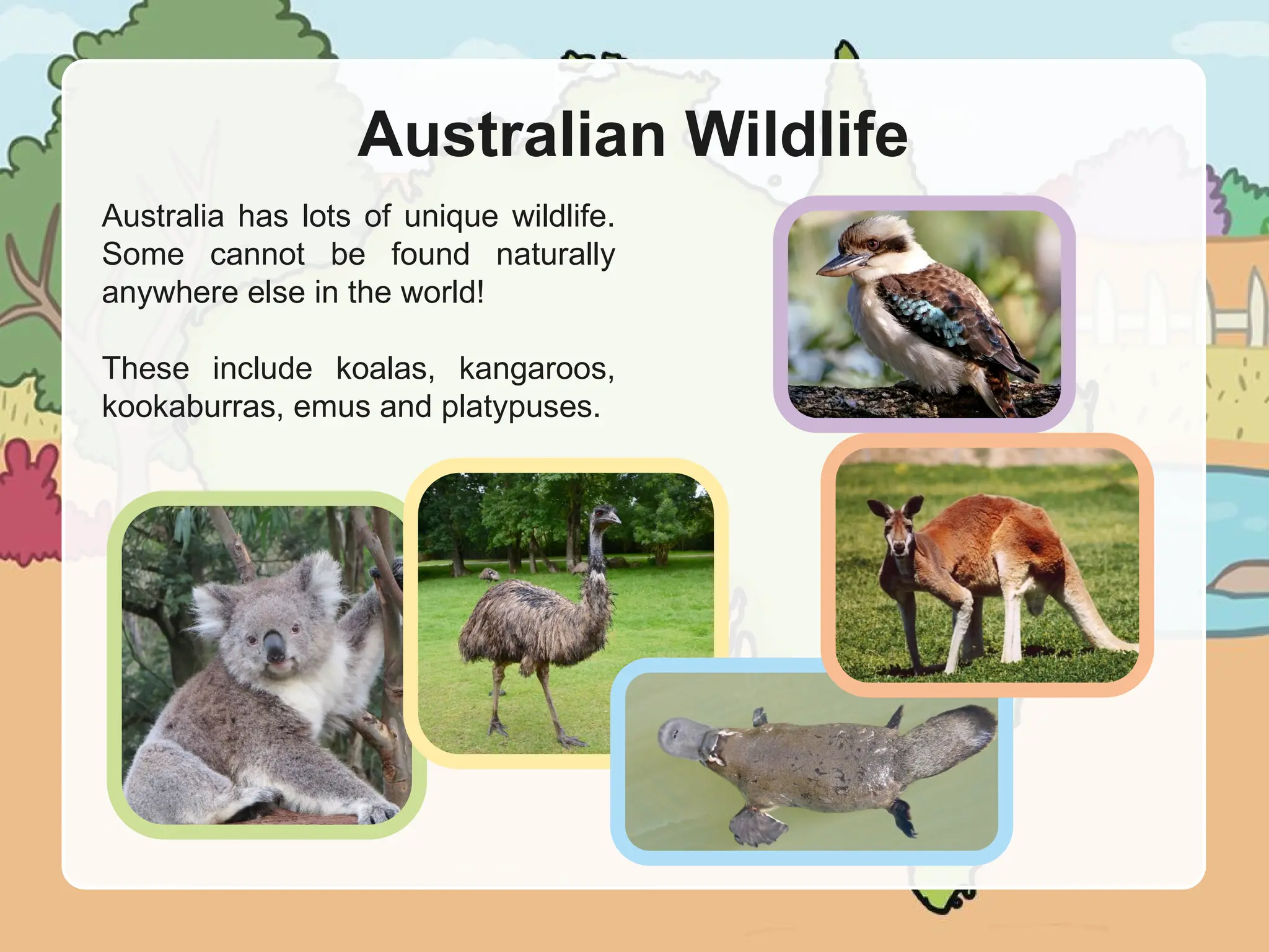 All About Australia Destinations Presentation | PPTX