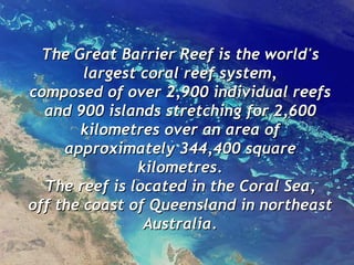 Australia Coral Reef | PPS