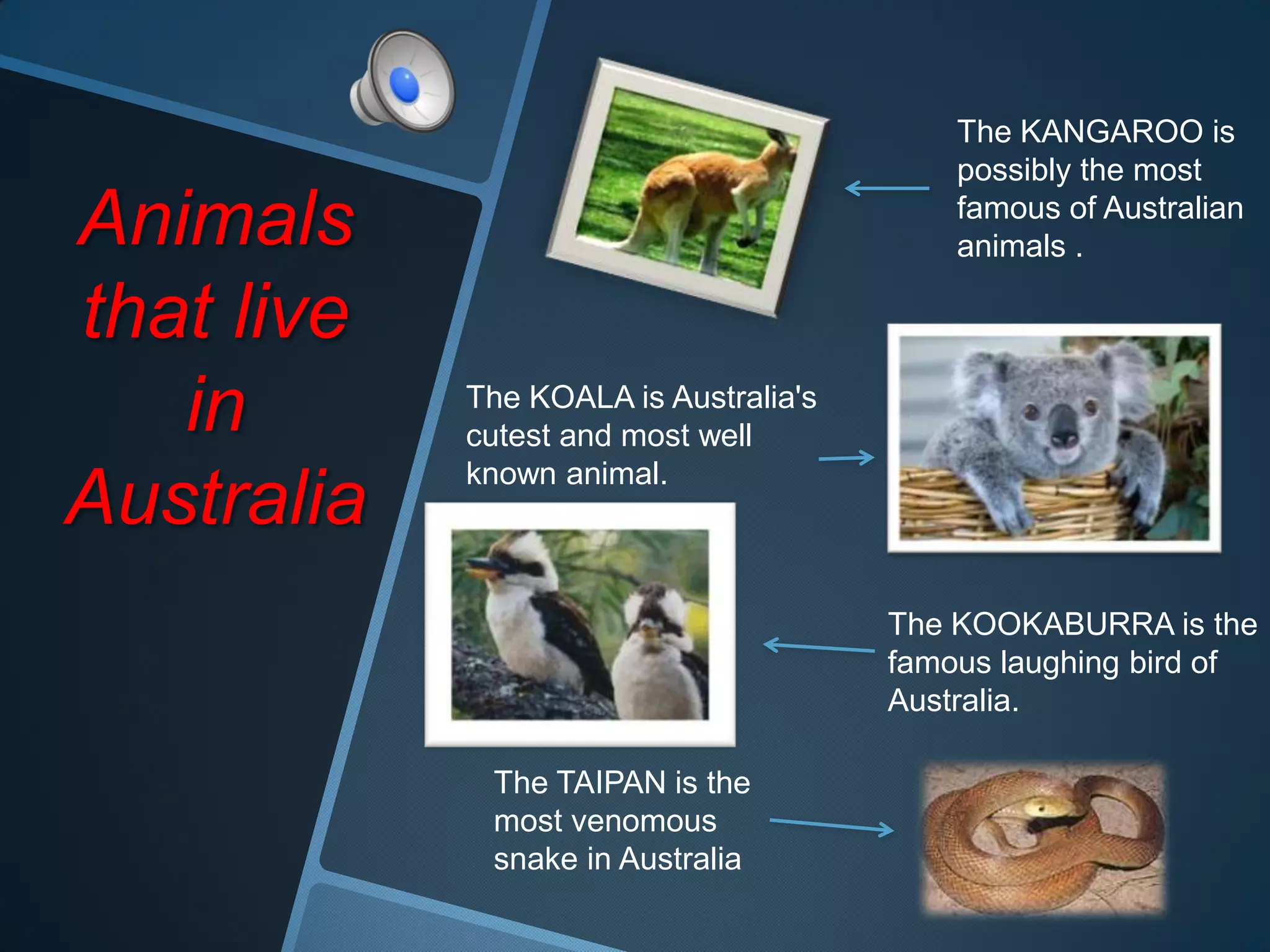 Australia project | PPTX