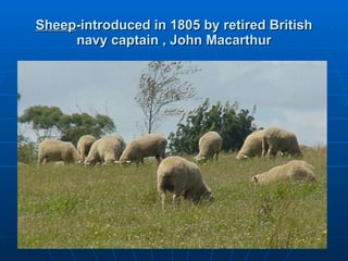 Australia history powerpoint | PPT