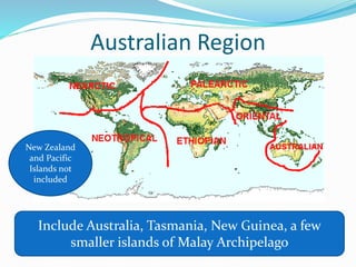 Australian | PPT