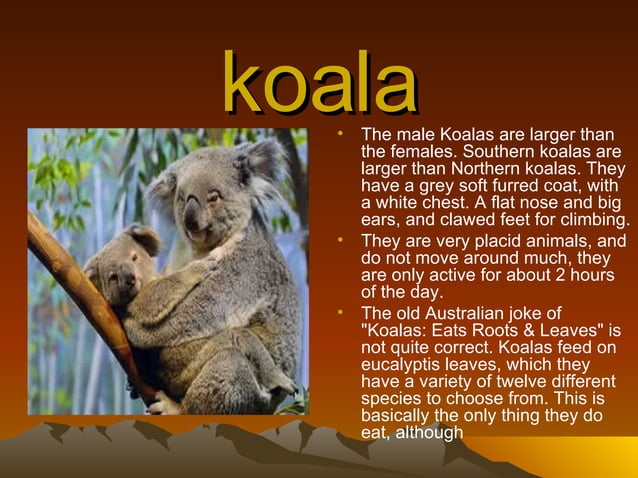 Australian Animals | PPT
