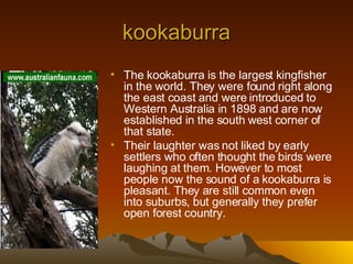 Australian Animals | PPT
