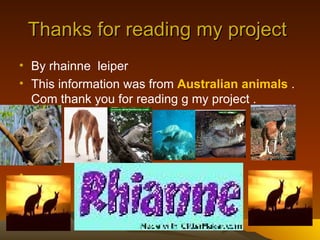 Australian Animals | PPT