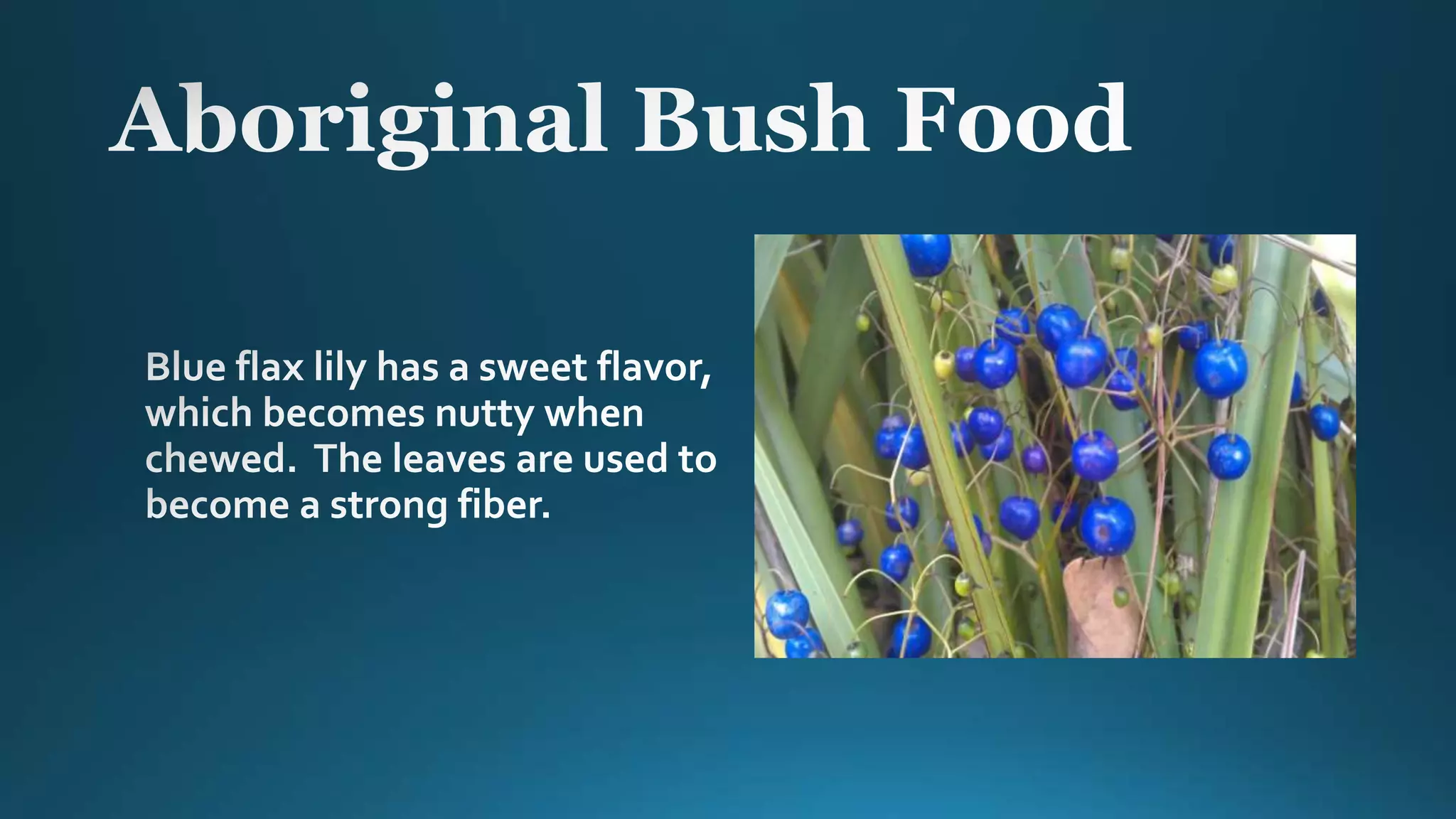 Australian aboriginals | PPTX