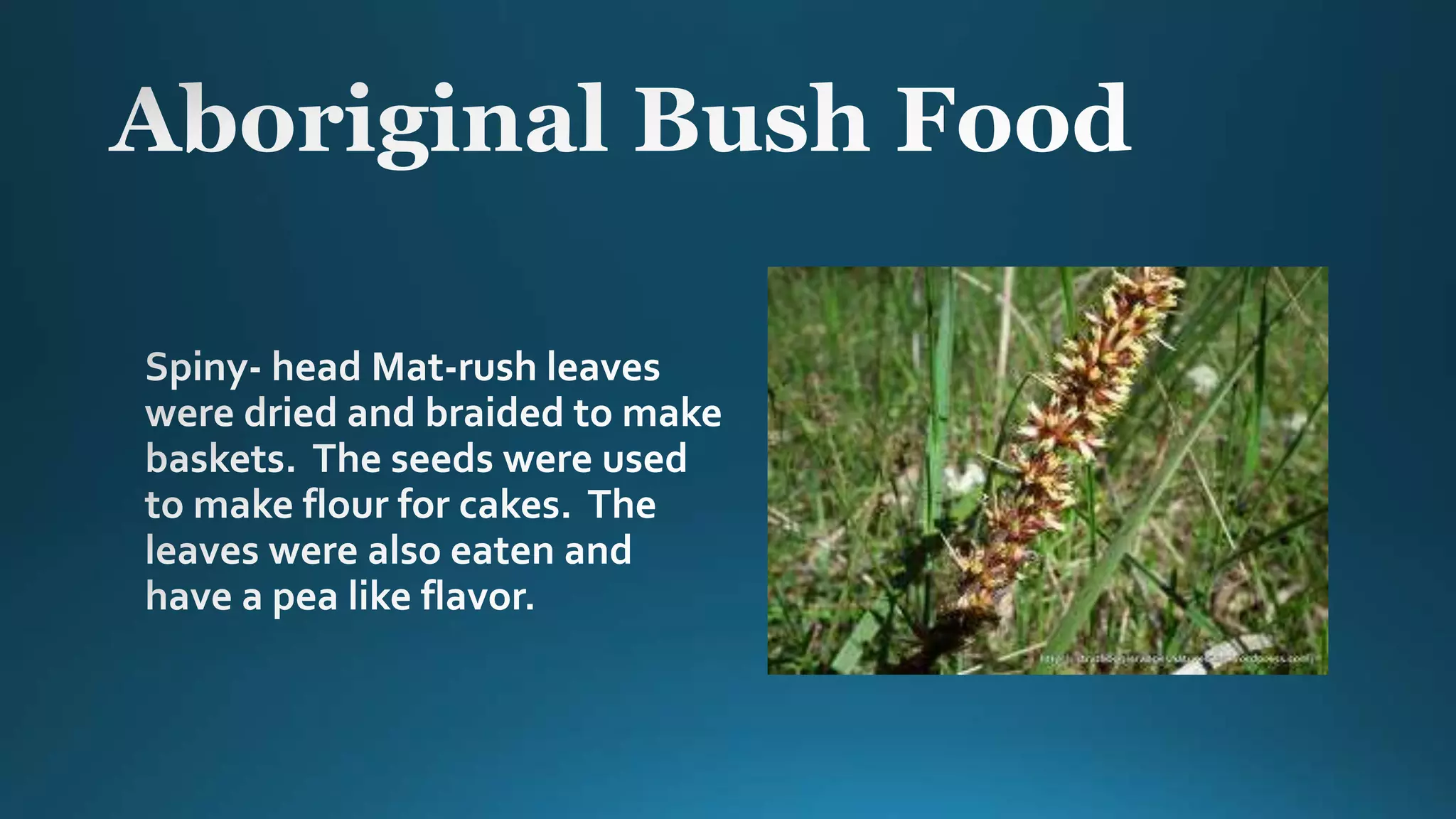 Australian aboriginals | PPTX