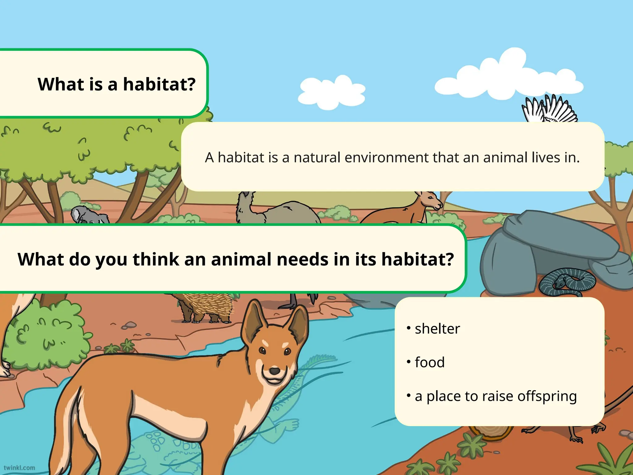Australian Animal Habitats.pptv fvfvrrrx | PPT