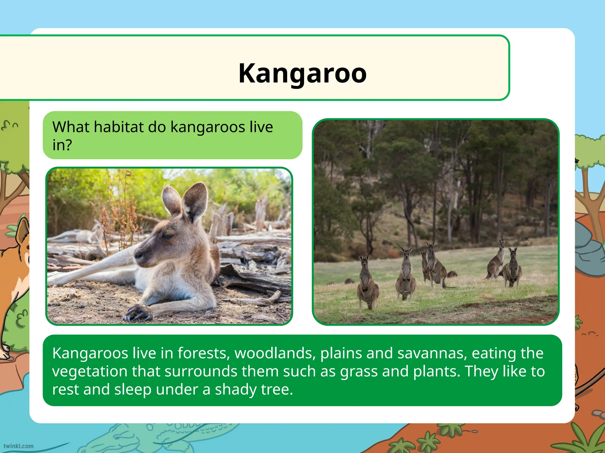 Australian Animal Habitats.pptv fvfvrrrx | PPT