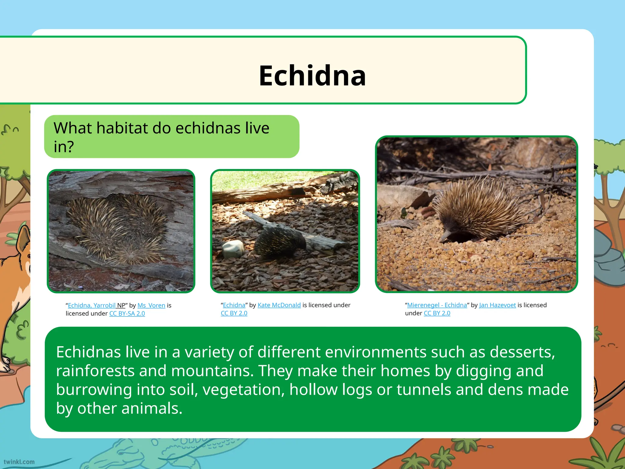 Australian Animal Habitats.pptv fvfvrrrx | PPT