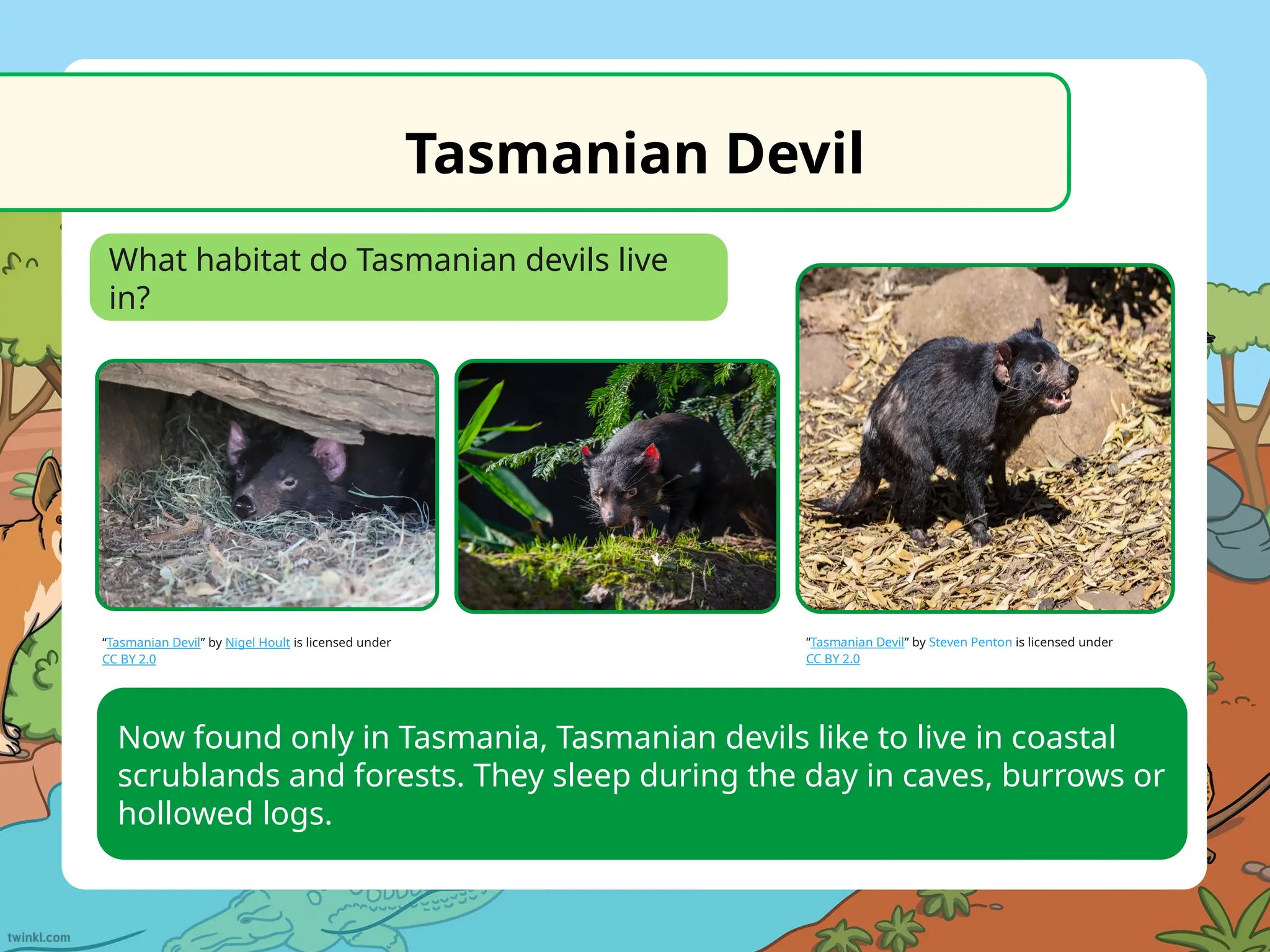 Australian Animal Habitats.pptv fvfvrrrx | PPT