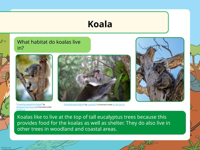 Australian Animal Habitats.pptv fvfvrrrx | PPT