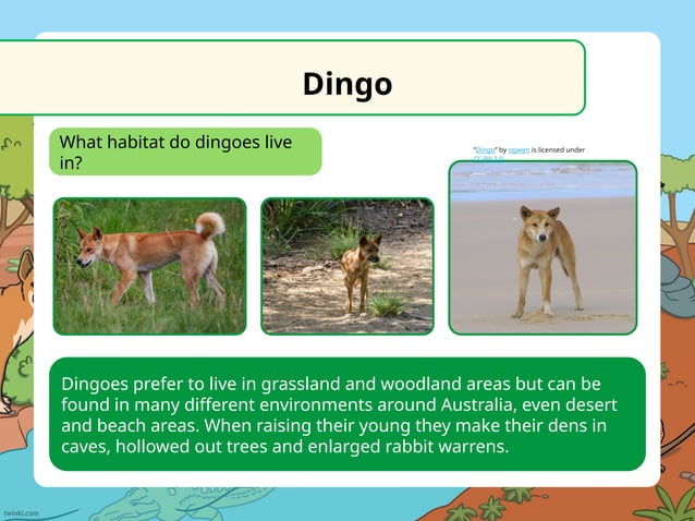 Australian Animal Habitats.pptv fvfvrrrx | PPT