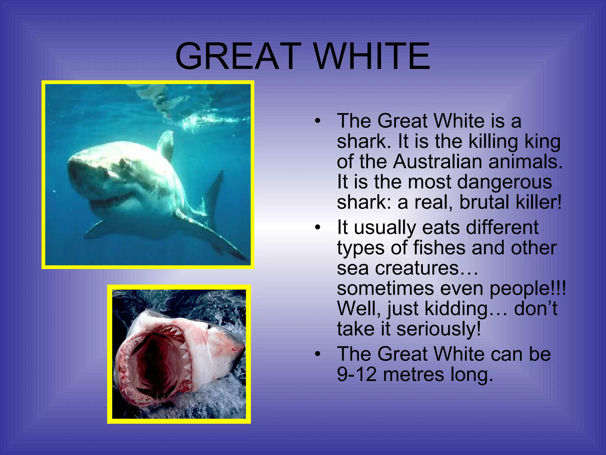 Australian Animals | PPT