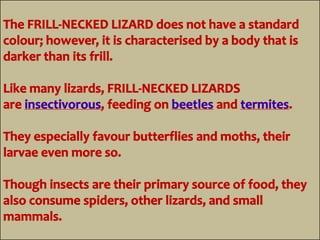 Australian animals | PPT