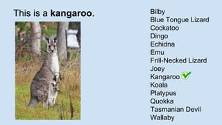 Australian Animals | PPT