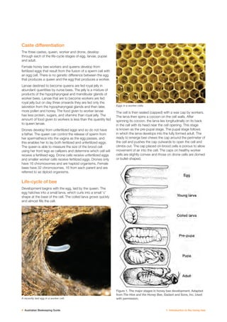 Australian beekeeping guide | PDF