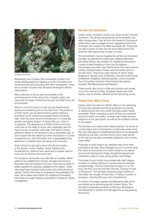 Australian beekeeping guide | PDF