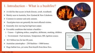 Australian Bushfire | PPTX