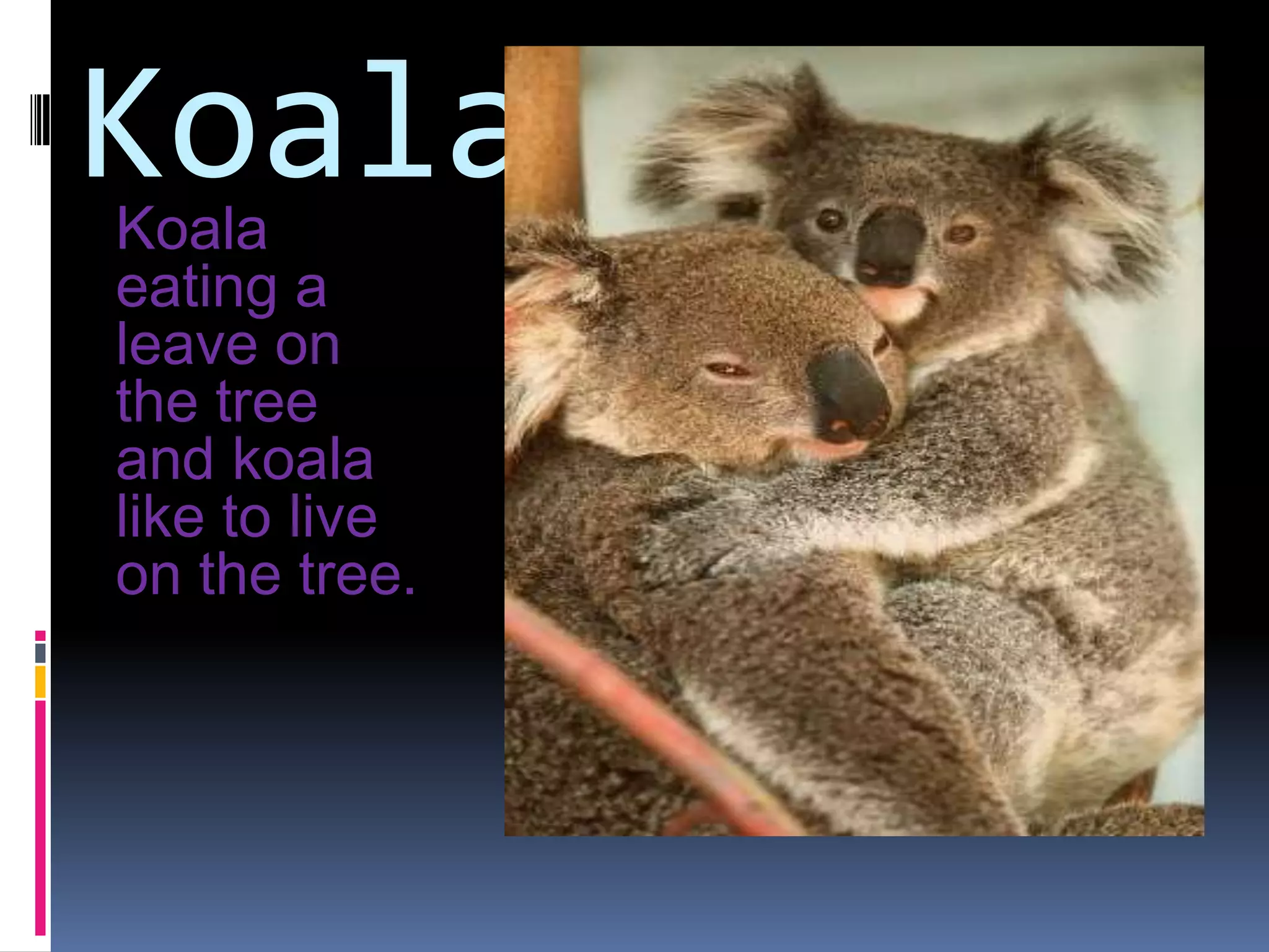 Australian identity | PPT