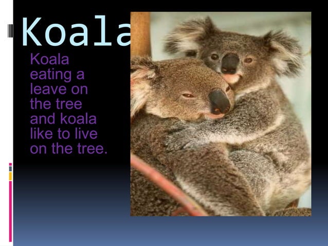 Australian identity | PPTX