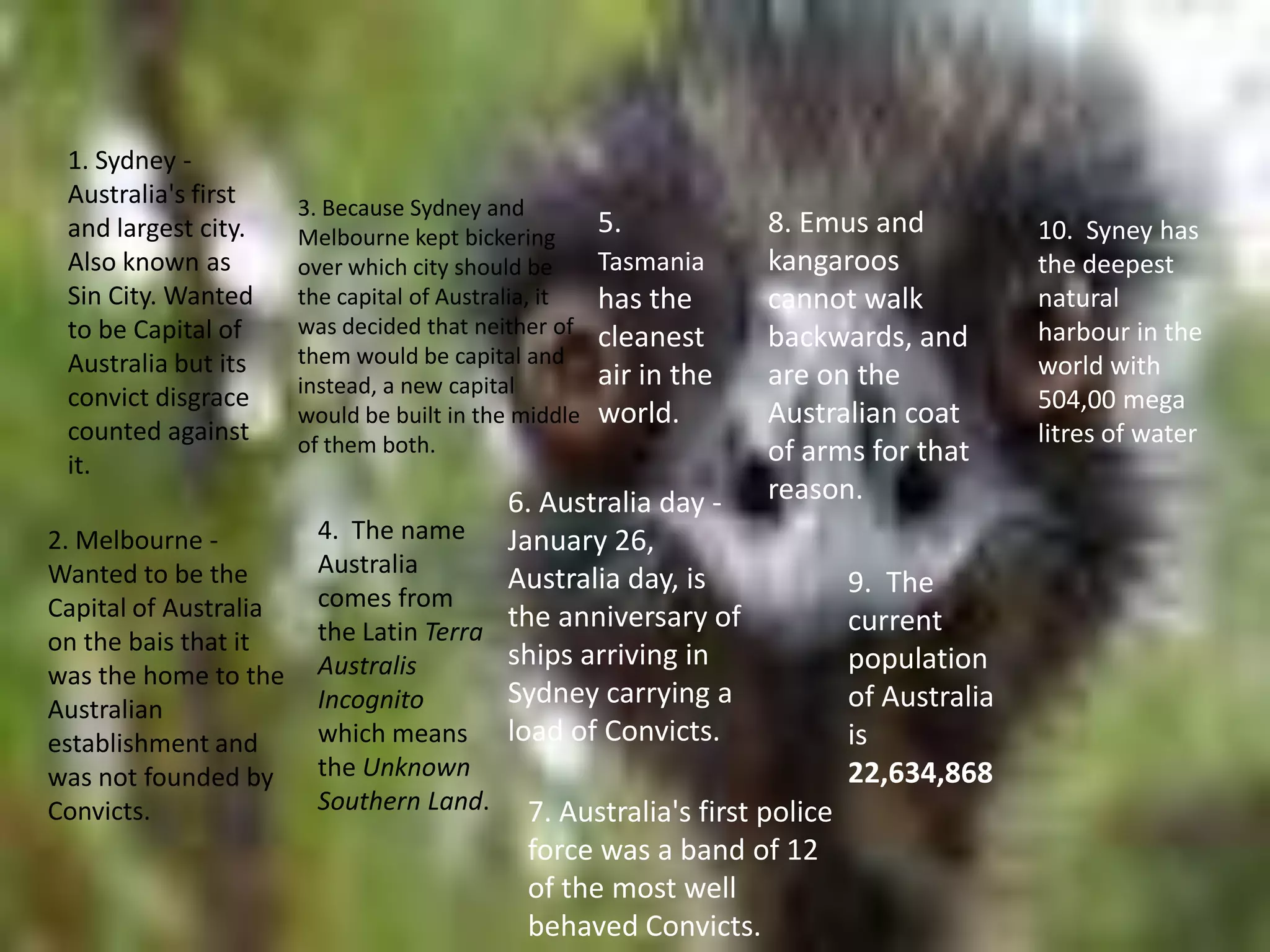 Australian identity project slideshow | PPTX