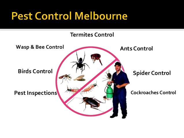 Australian pest management