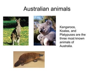 Australian powerpoint final | PPT
