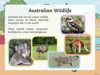 Australian quiz | PPTX