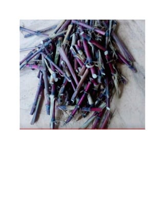 australian red napier.pdf