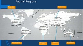 Australian region,one of the zoogeographical realms | PPTX