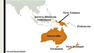 Australian Region | PDF