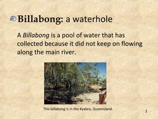 Australian slang dictionary | PPT