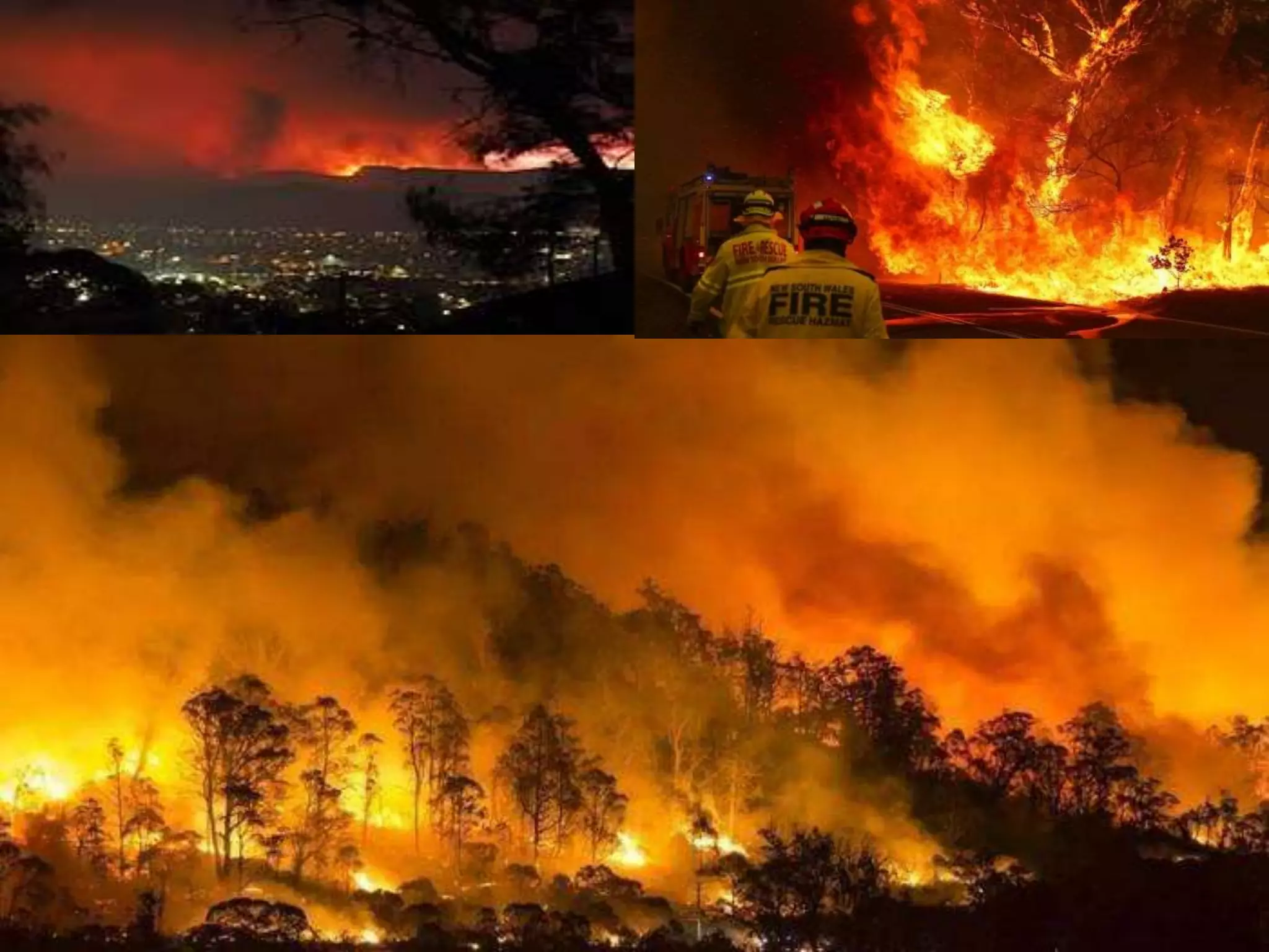 Australian wildfire of 2019 ppt | PPTX