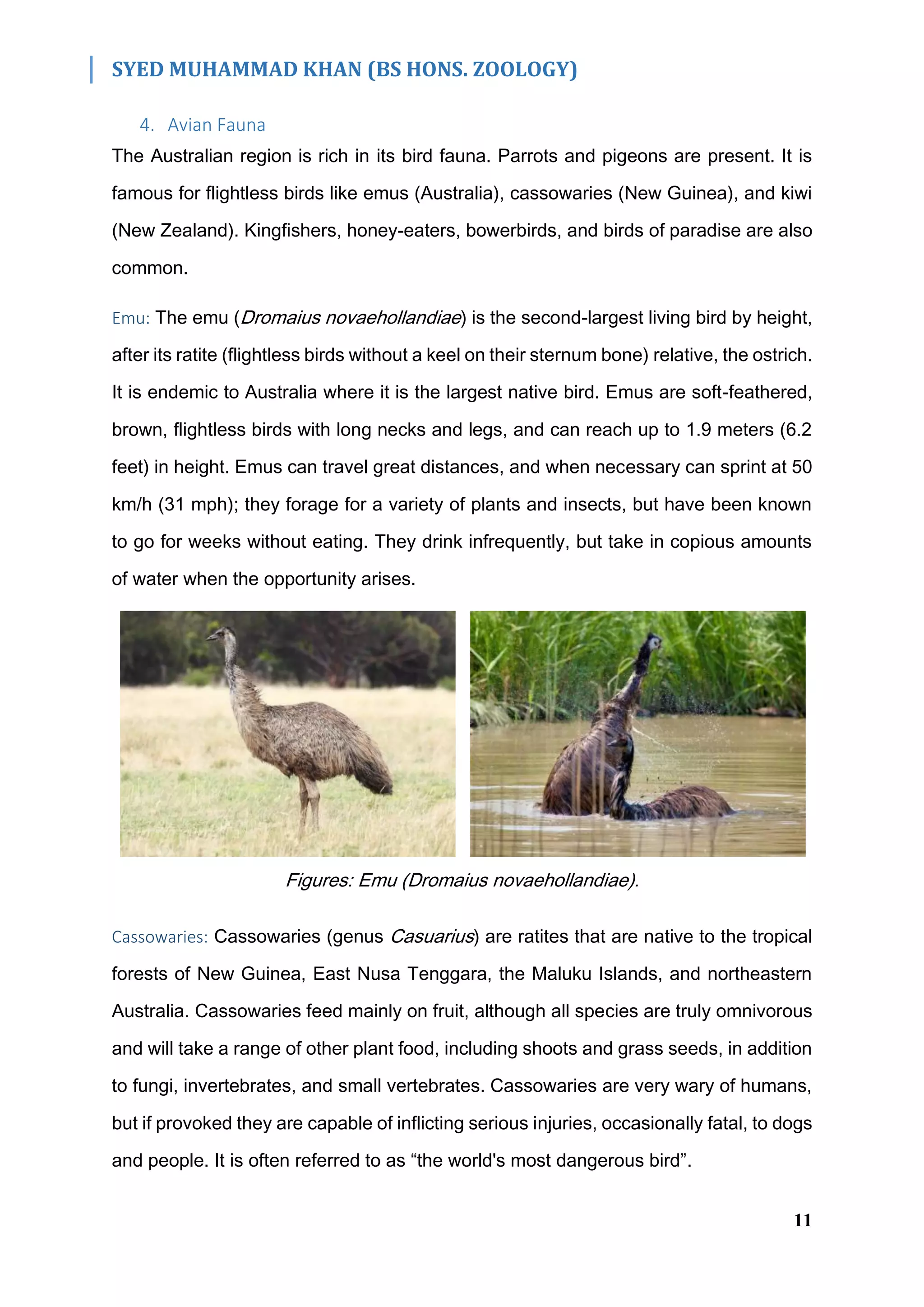 Australian (Zoogeographical) Region | PDF
