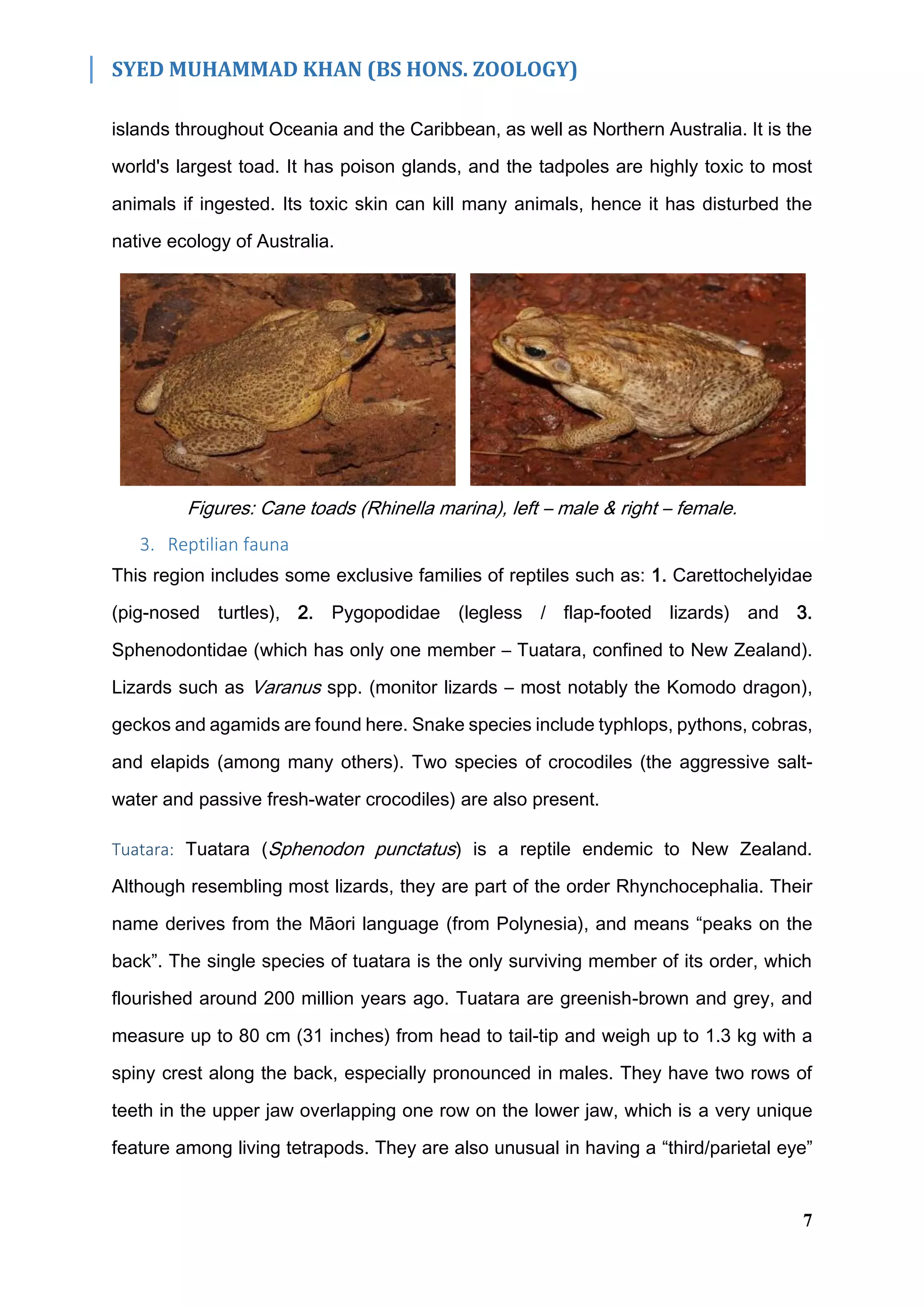 Australian (Zoogeographical) Region | PDF