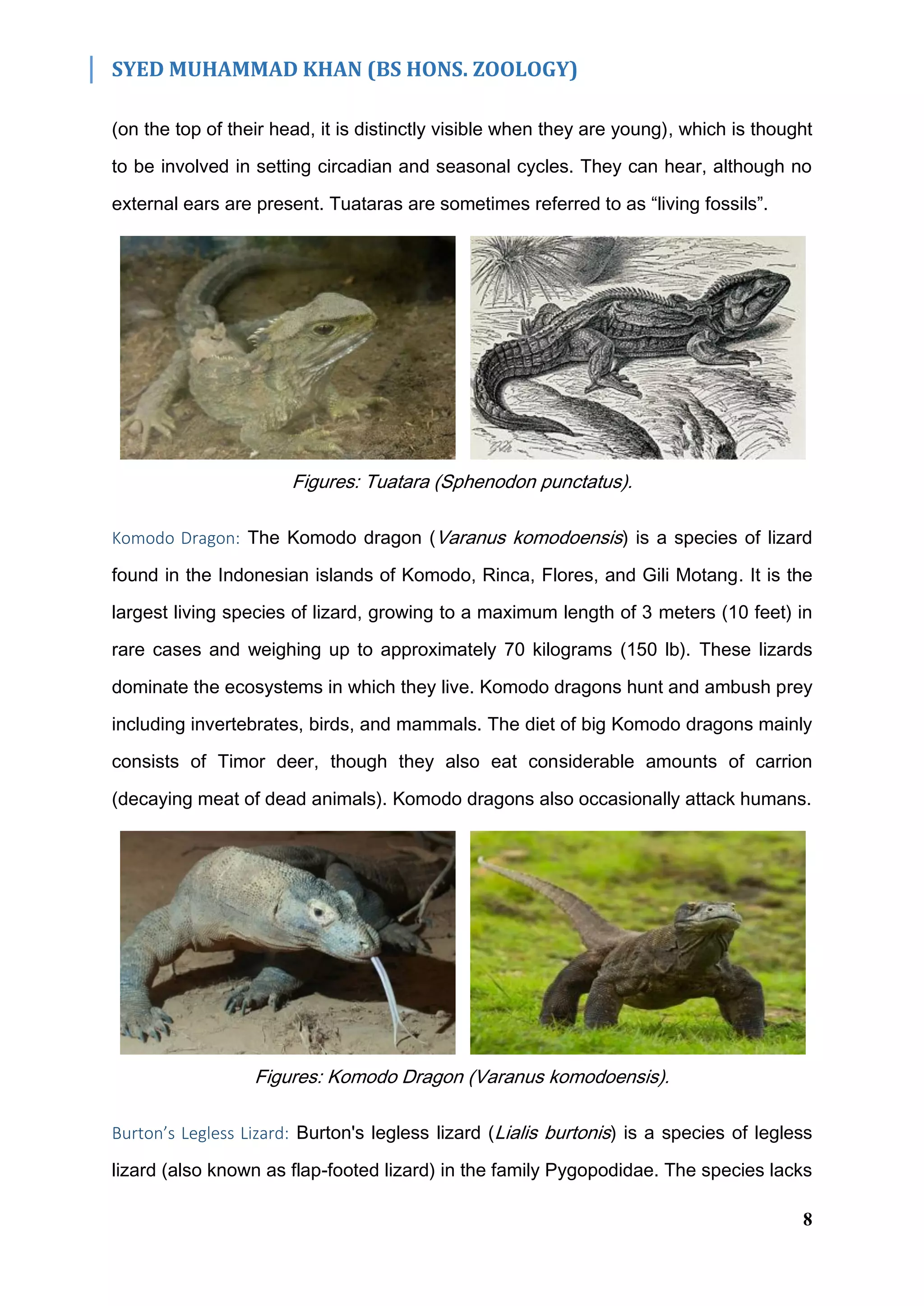 Australian (Zoogeographical) Region | PDF