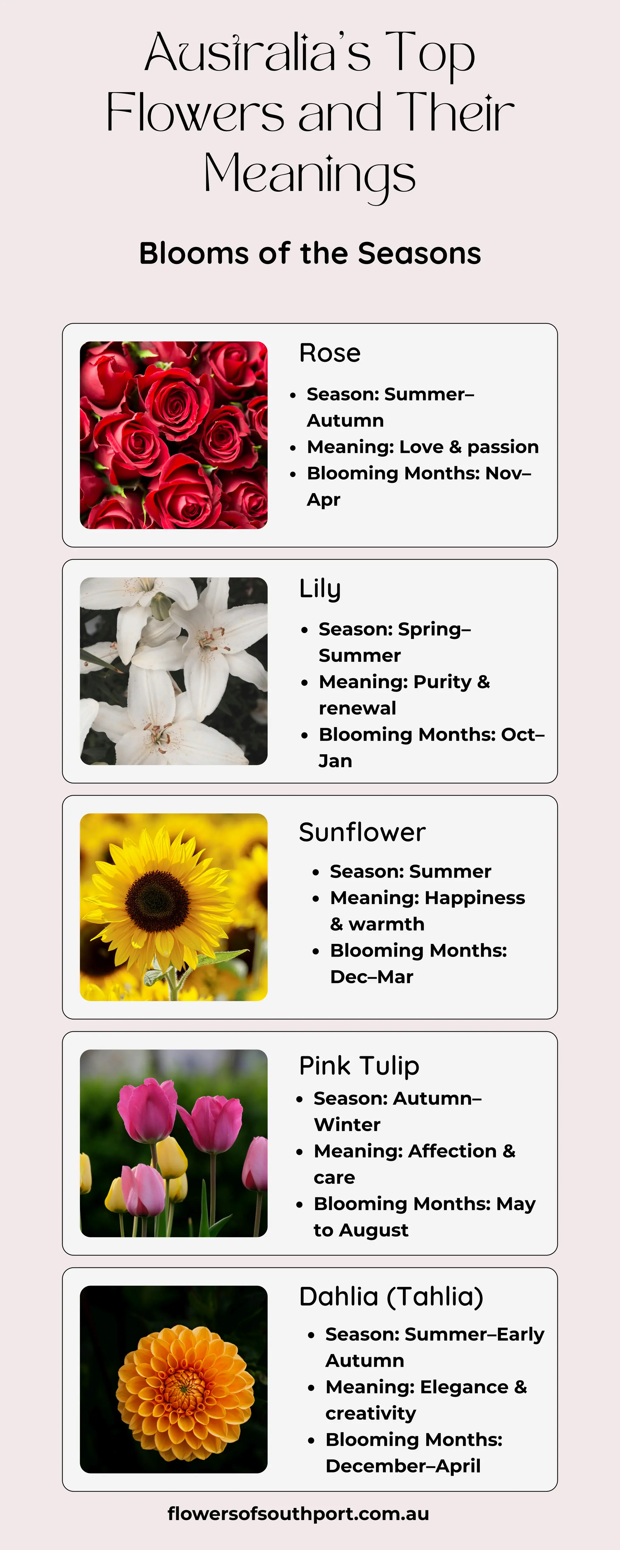 Blooms that Speak: Australia’s Flower Meanings | PDF