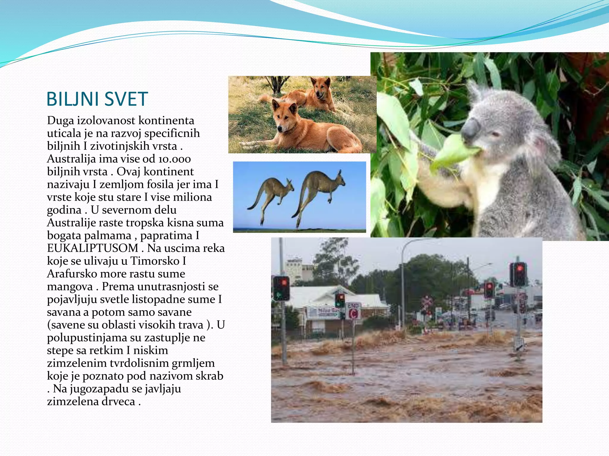 Australija i okeanija | PPTX