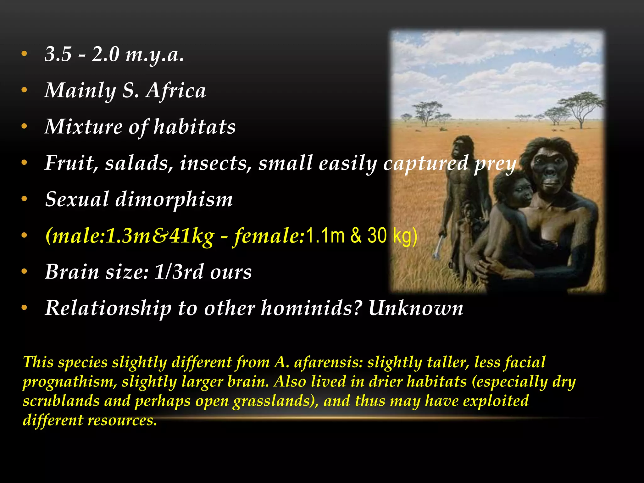 Australopithecines | PPTX