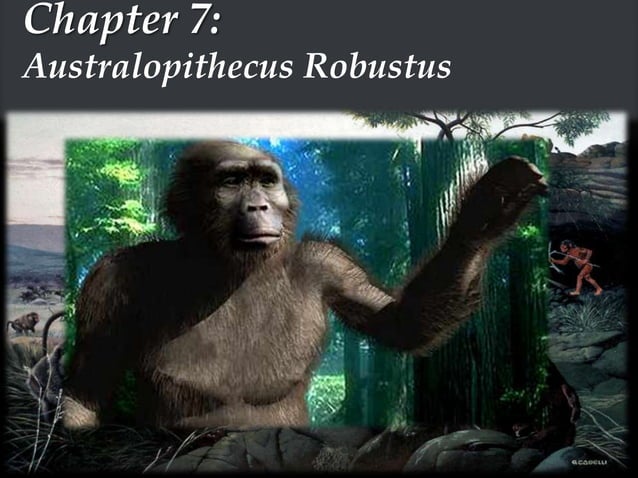 Australopithecines | PPTX | Zoos & Aquariums | Attractions